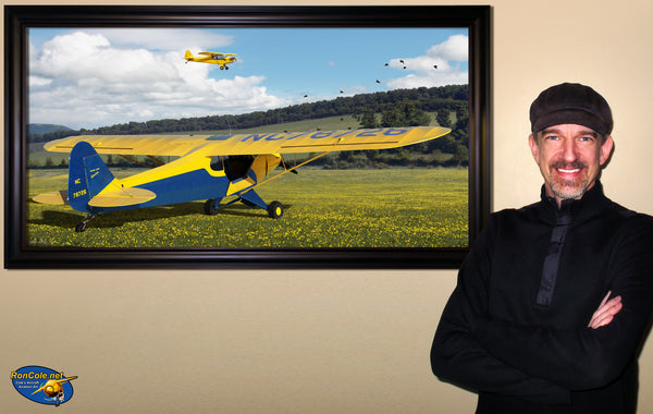 From Piper Cub to Super Cub